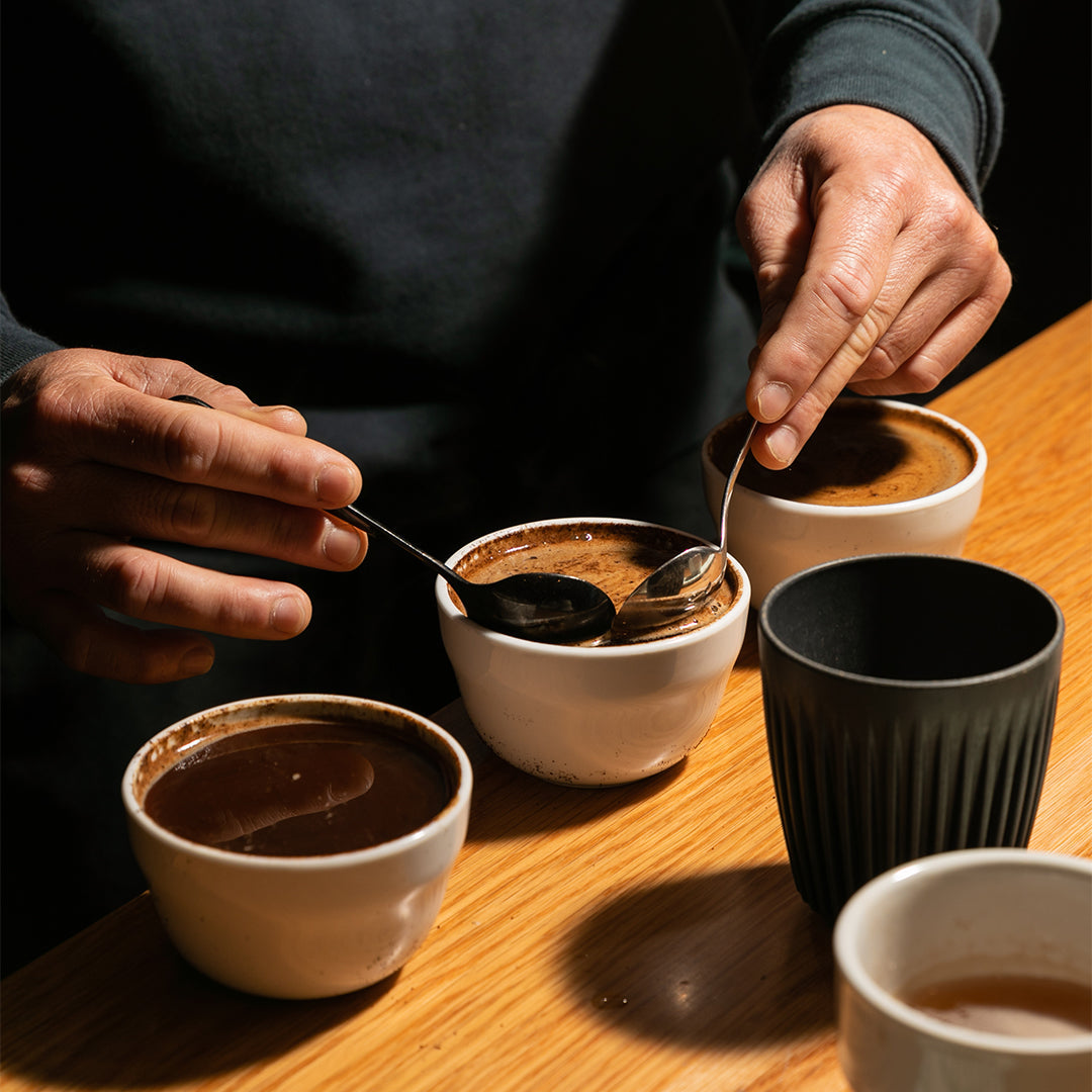 Coffee supply chain 101: Unveiling the key ingredients for a delicious